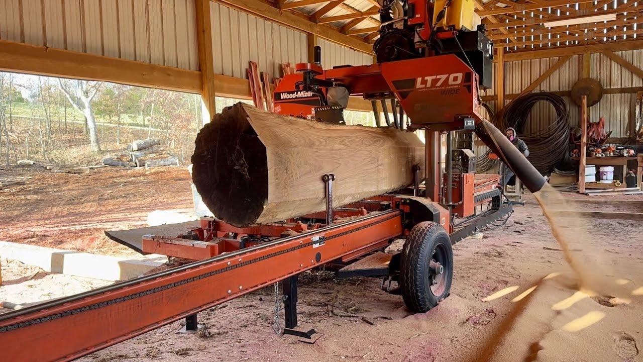 Red Cedar, Oak, Walnut, Sawing, Buying Logs, and planing live edge ...