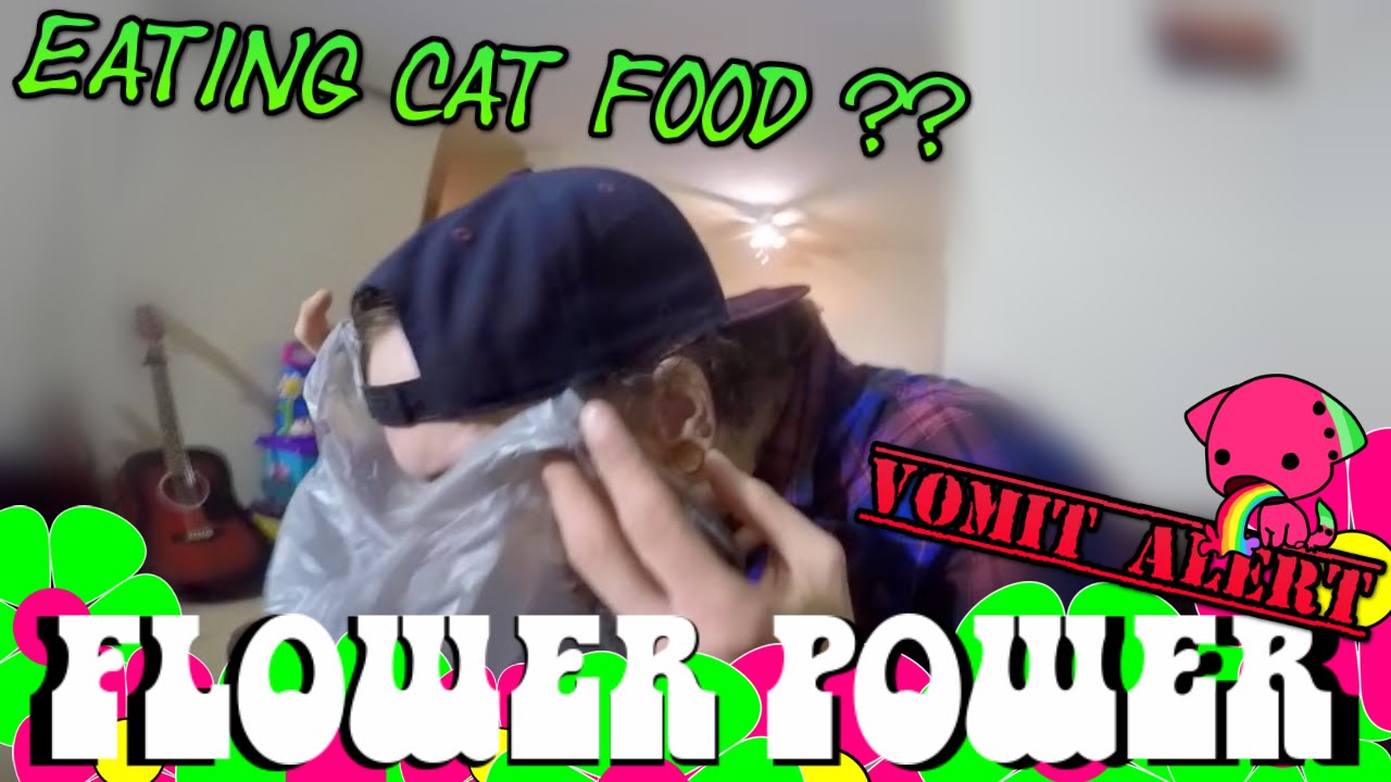 FLOWER POWER!! && EATING CAT FOOD?? !!!!VOMIT ALERT!!! - YouTube