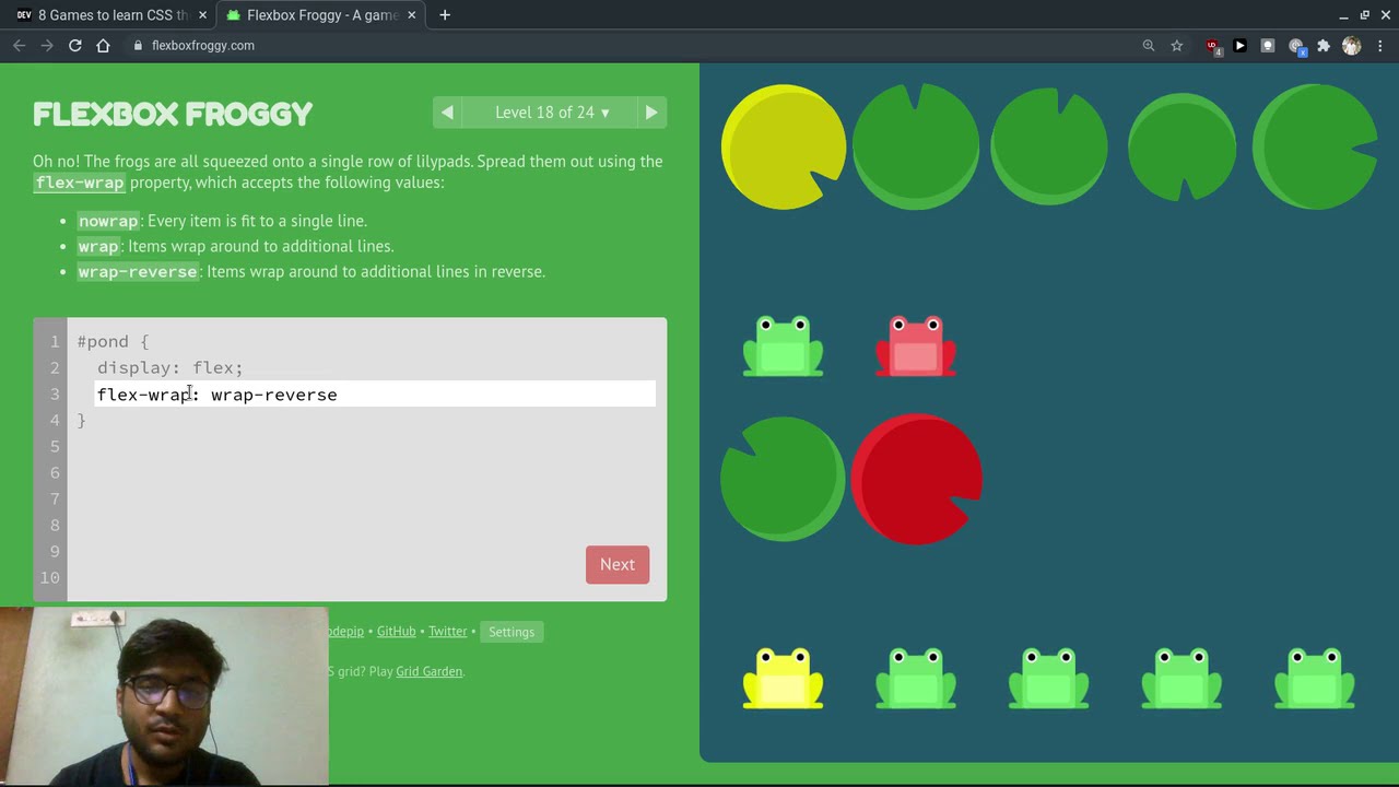 Flexbox Froggy All 24 Levels Youtube