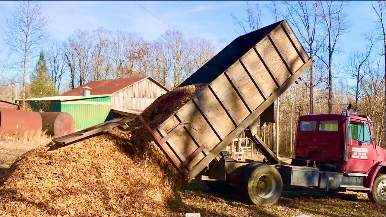 Deep Bedding cows for winter and burying corn - YouTube