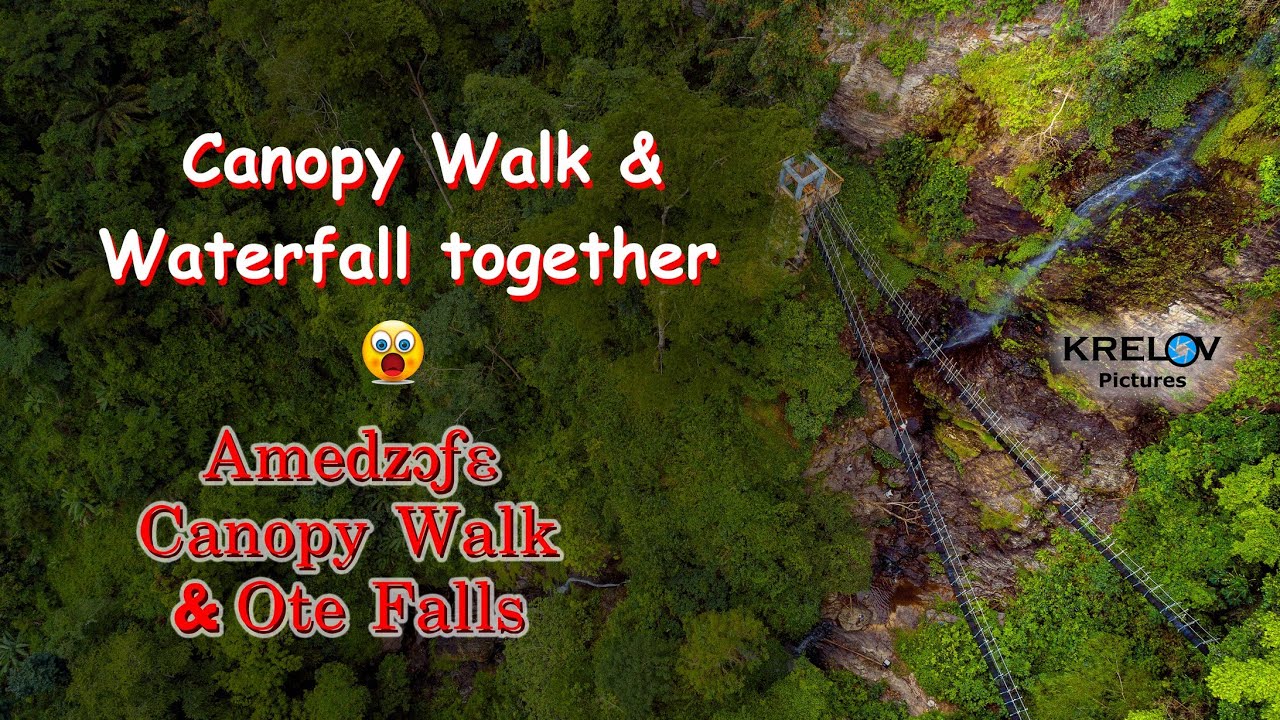 Canopy Walkway Amedzofe, Volta Region, Ghana - YouTube