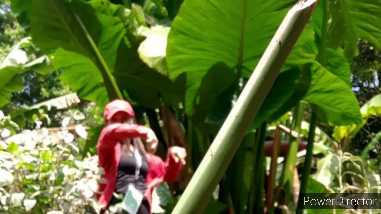 story of my life@Lucban part2 - YouTube
