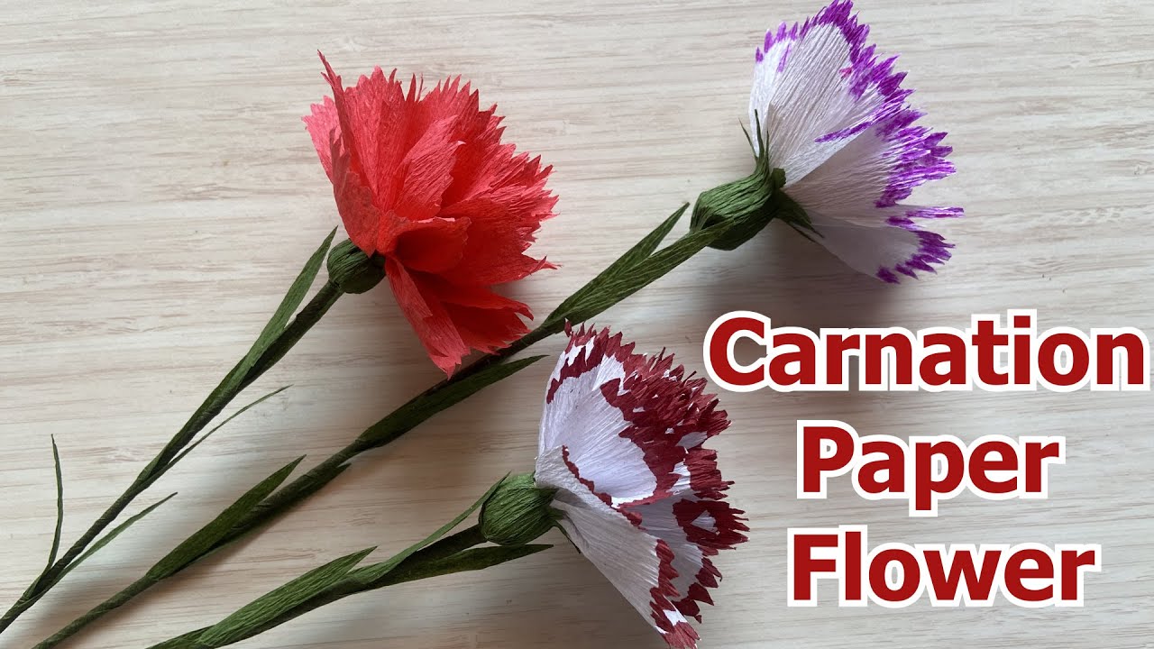 How to Make Beautiful Carnation Paper Flowers - Step by Step Tutorials ...