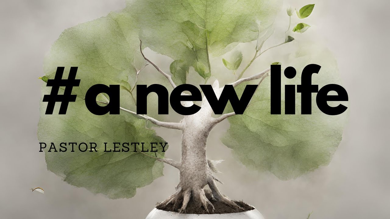 New Life Class Video - YouTube