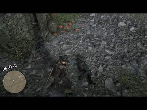 Red Dead Redemption 2 - Looting interiors 25 (Fairvale Shanty) - YouTube