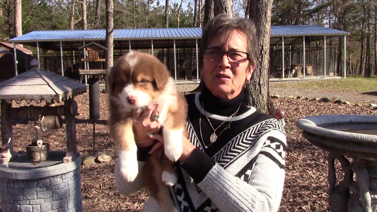 MVI 0110 - Mary Straley January 26, 2019 - YouTube