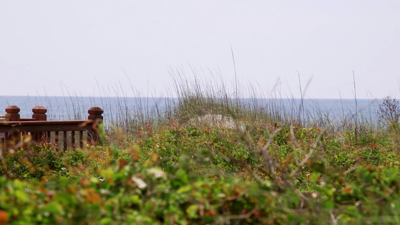 Salter Path - YouTube