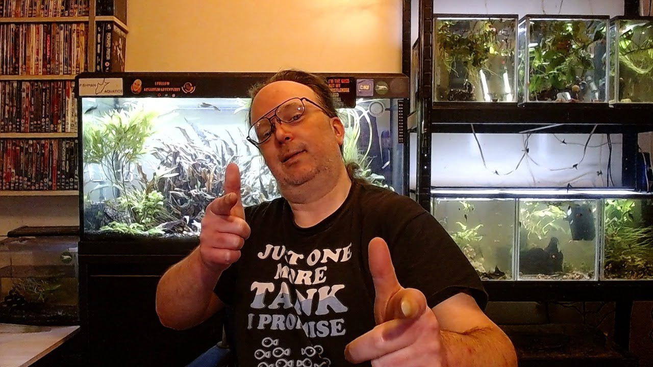 Sunday Sharpe: Noof Ish - YouTube