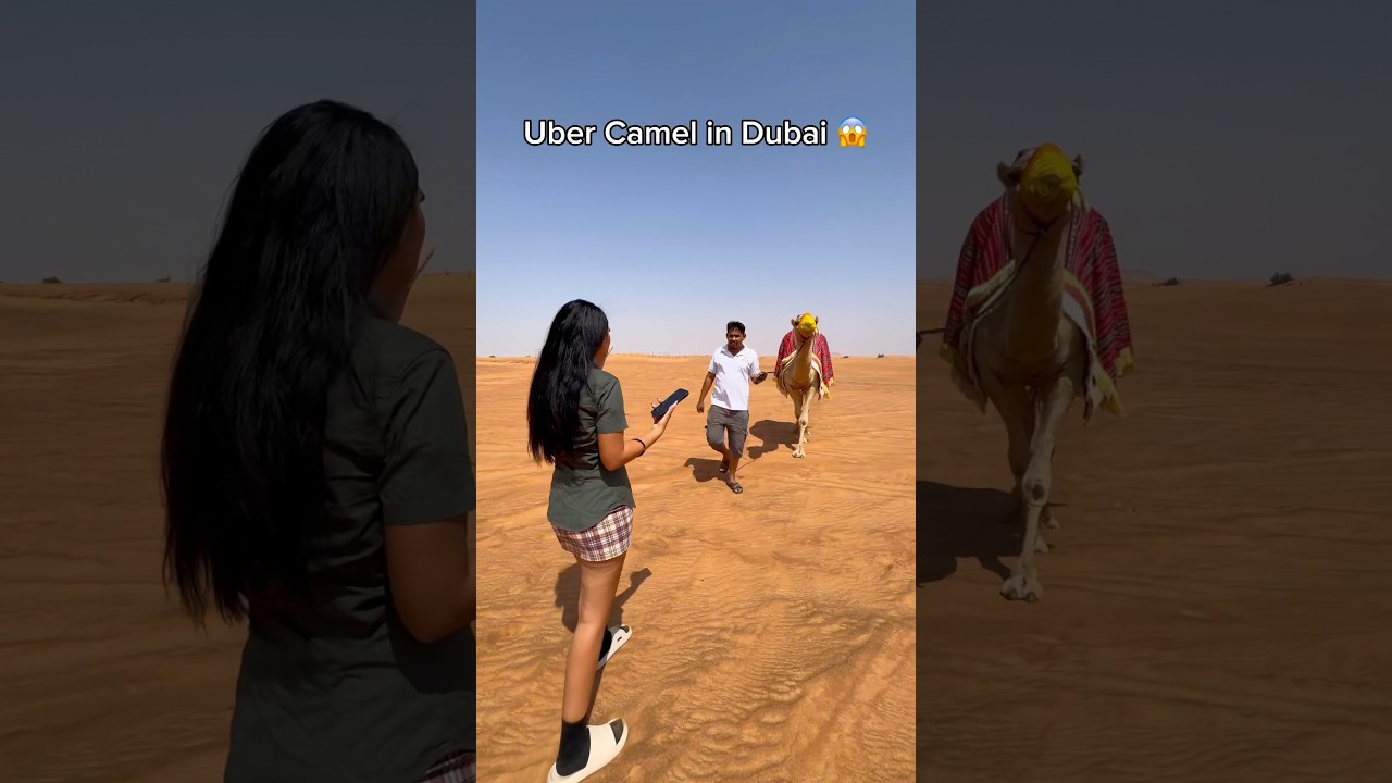 Uber Camel in Dubai 😱 - YouTube