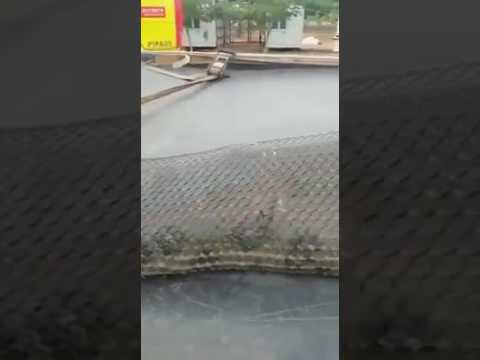 Largest Snake Caught in Zimbabwe - YouTube