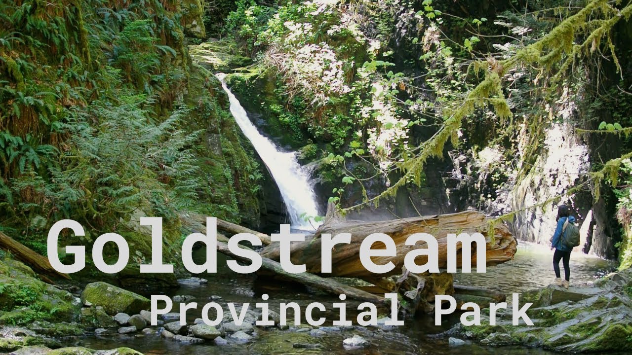 Goldstream Provincial Park (Arbutus Loop) - April 2025 - YouTube