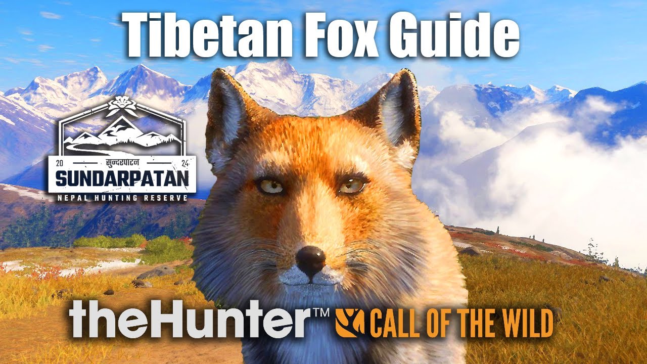 Tibetan Fox Guide - Sundarpatan Nepal - theHunter Call Of The Wild - YouTube