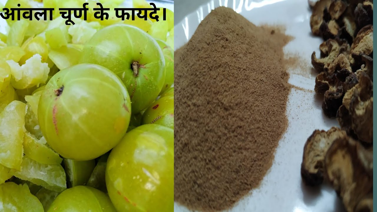 आँवला पाउडर(चूर्ण)बनाने और खाने का ये तरीका आपको कोई भी बताएगा | Amla ...