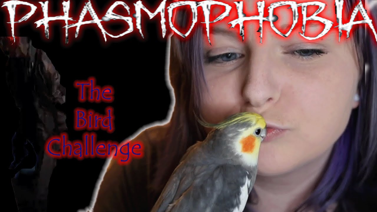 Phasmophobia But My BIRD Decides My Fate!! - YouTube