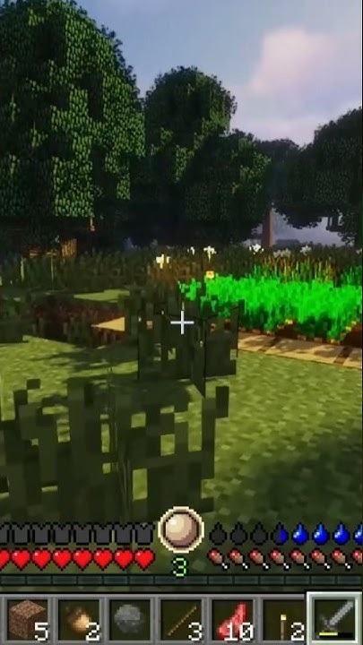 Minecraft - INSANE Shaders - YouTube