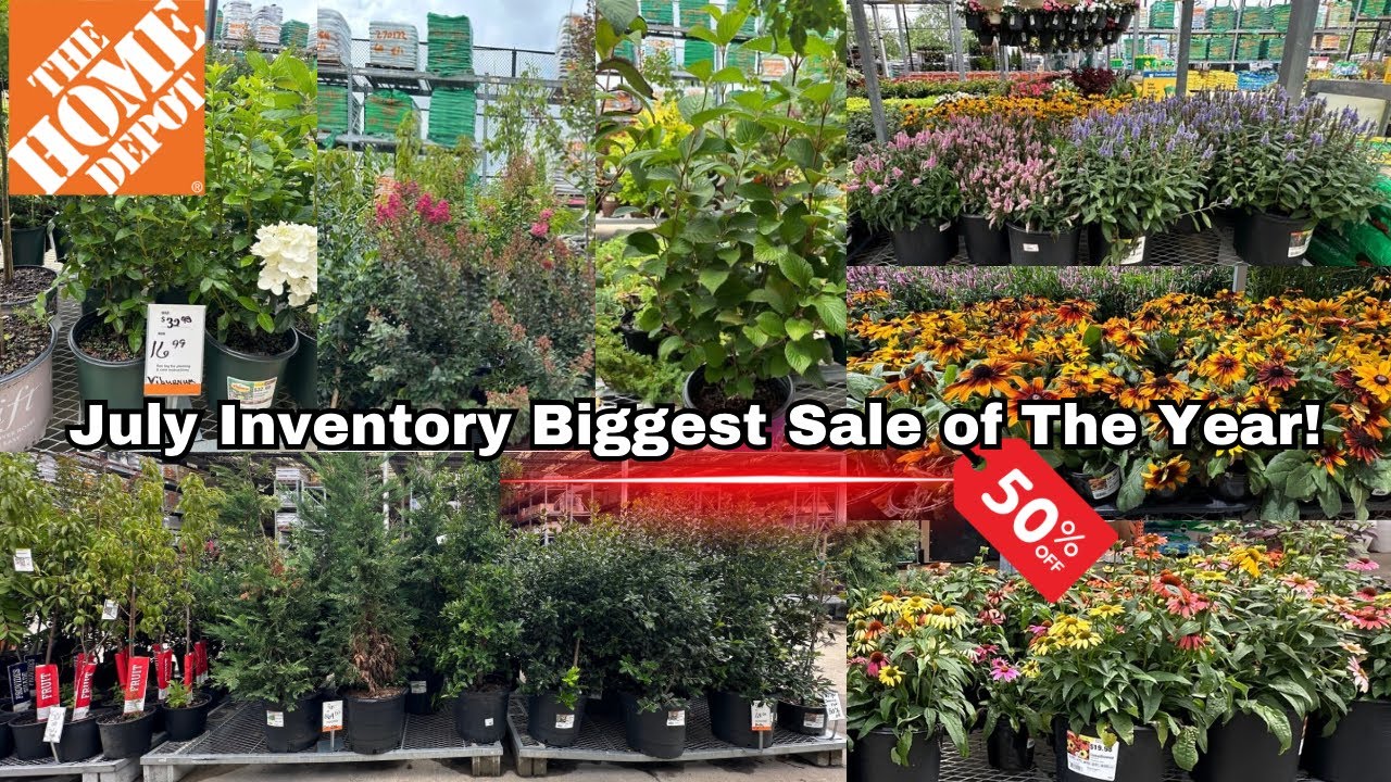 Home Depot Garden Center Clearance Sale! Hydrangeas Rhododendron Crepe ...