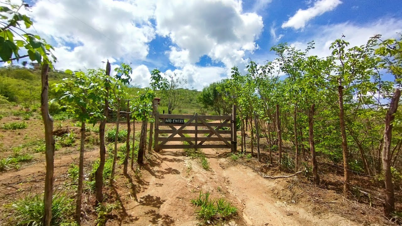 263#propriedade de 22 hectares para vender é Caruaru - YouTube