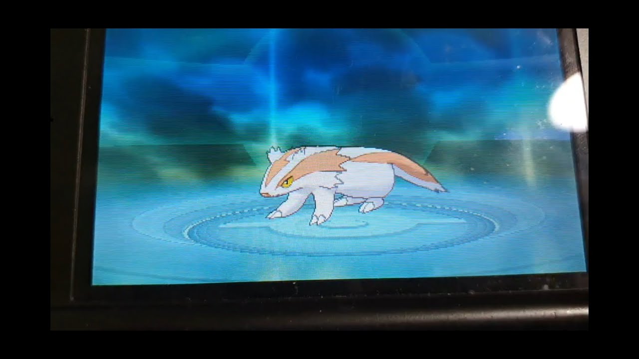 Shiny Linoone after 75 Hordes - Shiny Living Dex #15/898 - YouTube