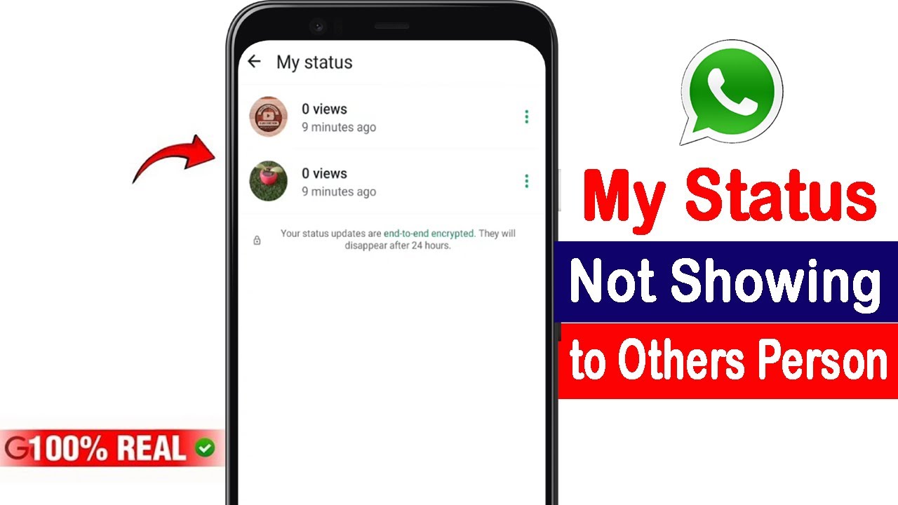 My WhatsApp Status Not Showing to Others Person Problem | Whatsapp ...