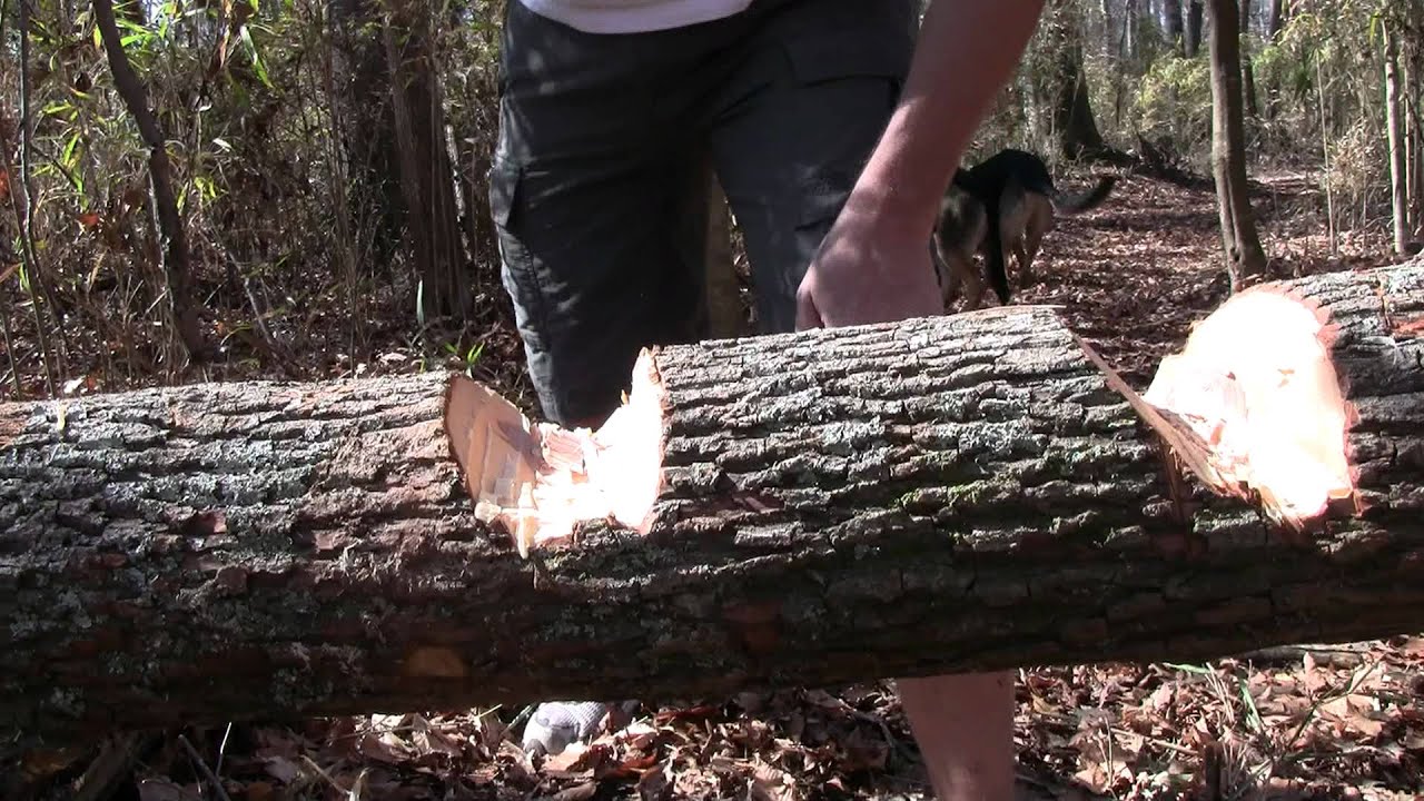 Busse SAR 8 - 6" trunk (HD) - YouTube