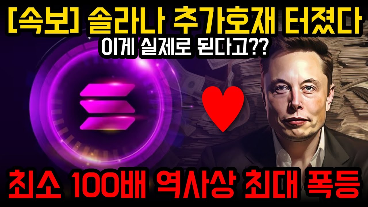 솔라나 드디어 해냈습니다 지금부터 최소 100배 미친 폭등 솔라나 솔라나코인 베이비도지 베이비도지코인 Youtube