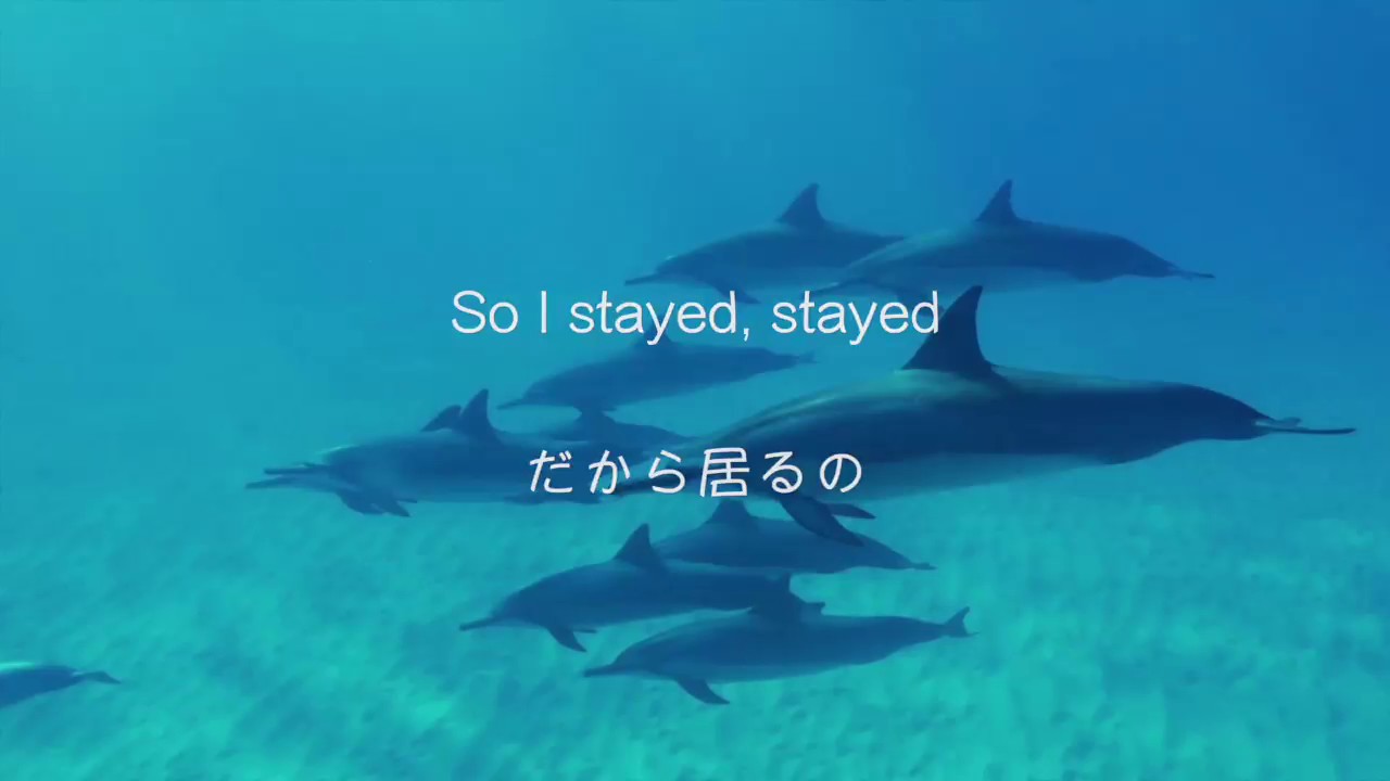 【洋楽和訳】Kygo ft. Maty Noyes - Stay（Lyrics） - YouTube