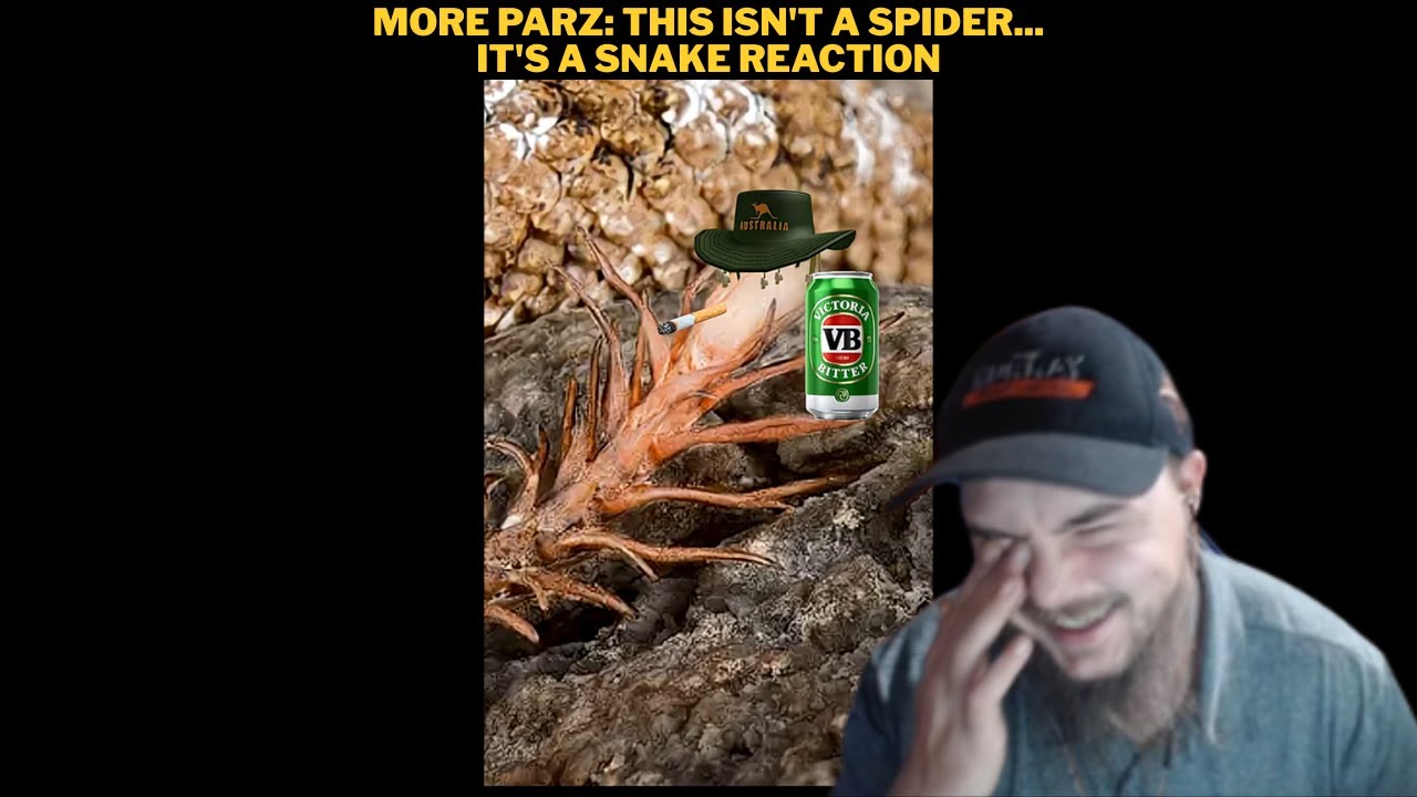 More Parz: This Isn't A Spider... It's A Snake Reaction - YouTube