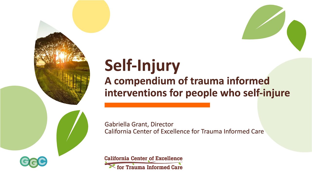 Introduction to the Self-Injury Interventions Compendium - YouTube