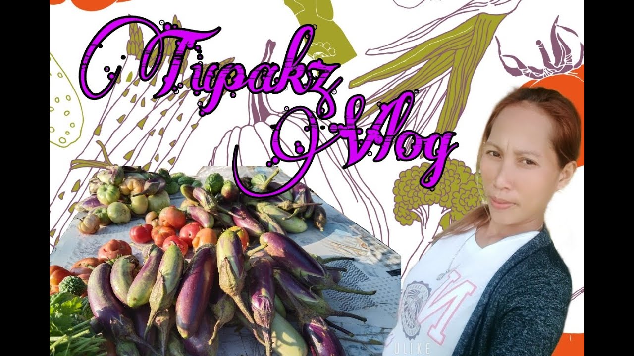 Fresh talong + ampalaya + kamatis = Pakbet - YouTube