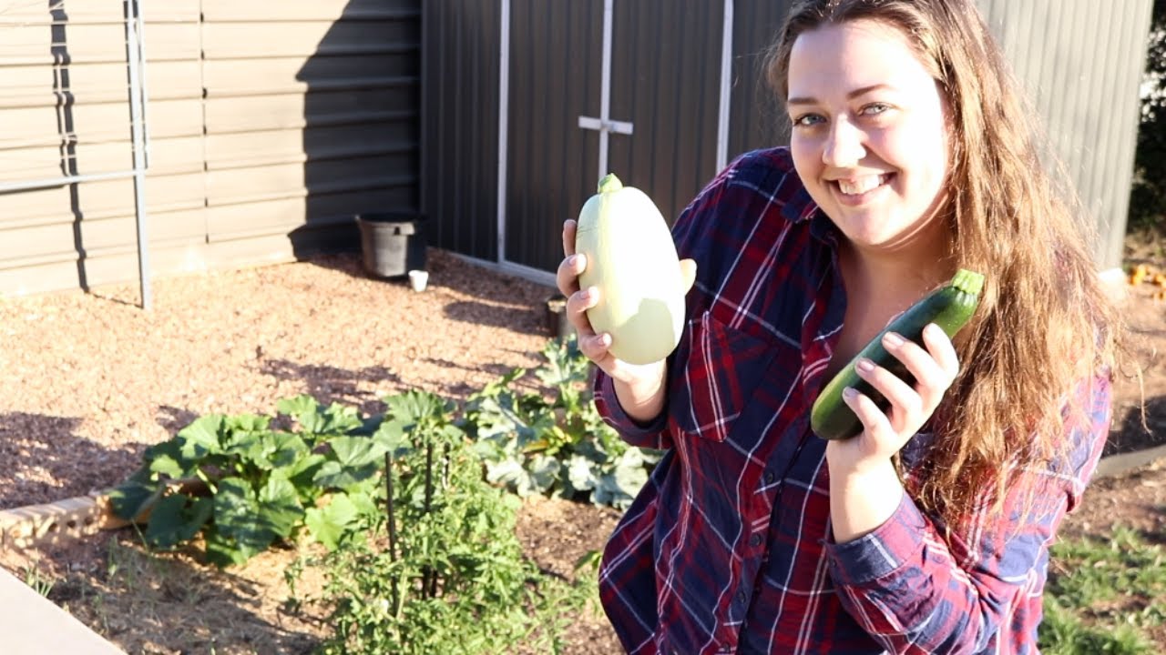 October Garden Tour! | Australian Spring Garden - YouTube