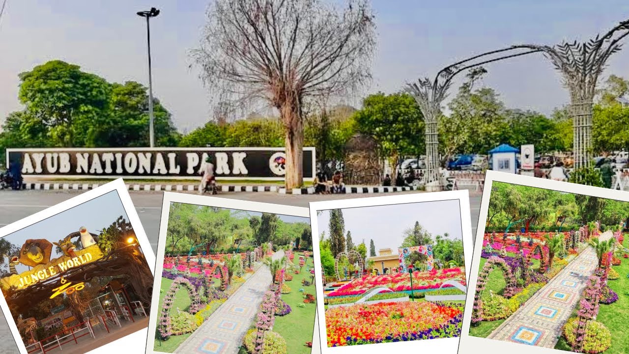 #Ayub National Park#Ayub National Rawalpindi#Rawalpindi Tourism# ...