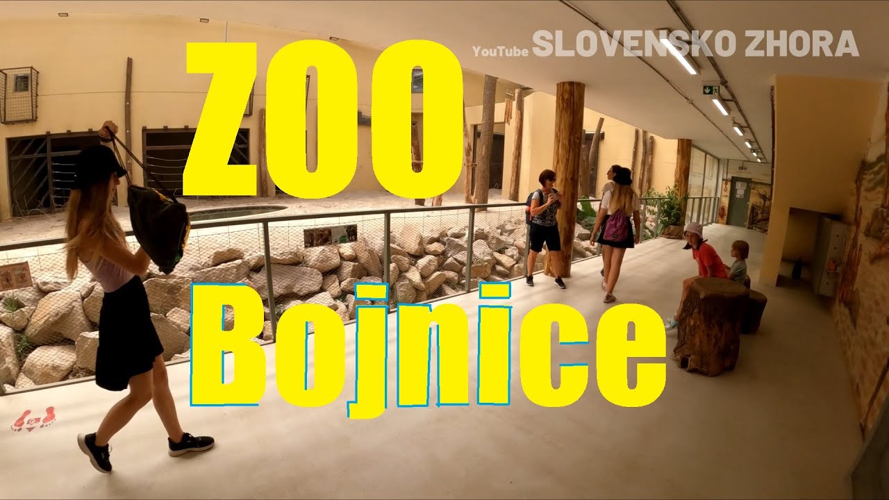 ZOO Bojnice - Nový pavilón slonov - ZOO Bojnice Areál slonov - YouTube