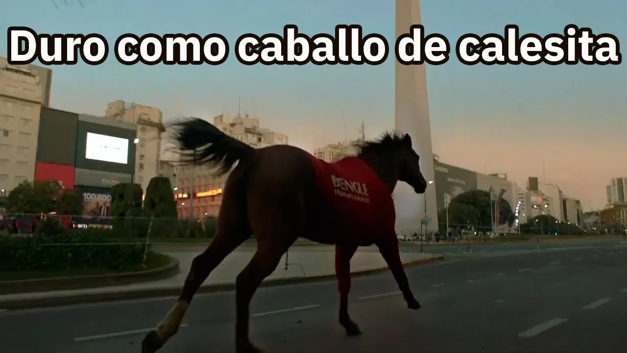 BENGUE - Duro como caballo de calesita (Argentina 2023) - YouTube