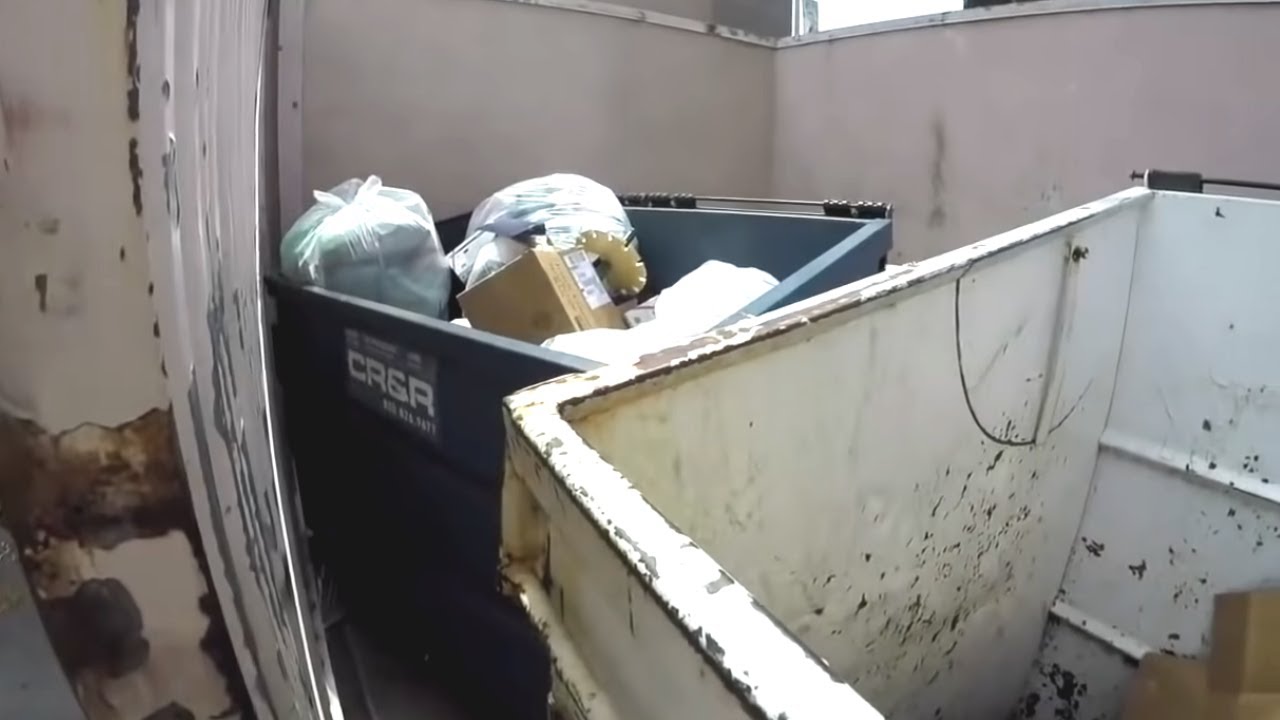 Dumpster Diving- Amazing day! Saved so much from the landfill - YouTube