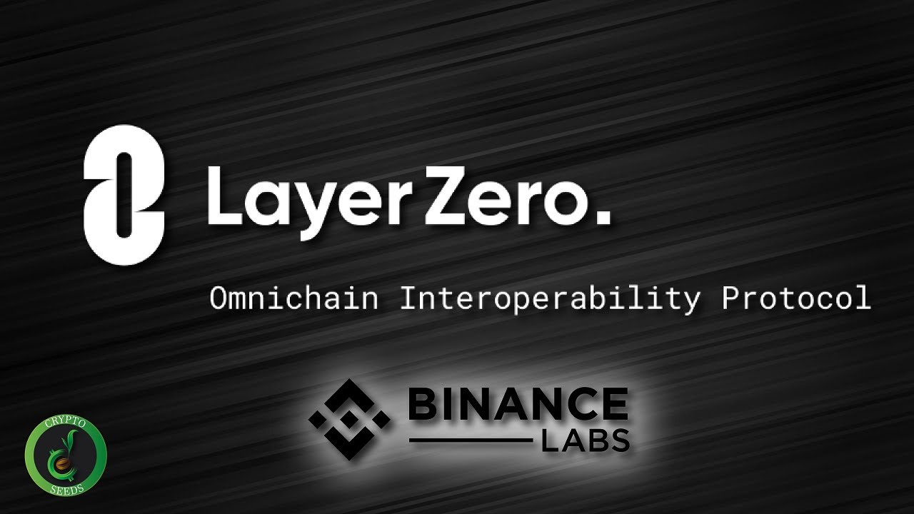 Layer Zero Omnichain Interoperabilty Protocol Crypto Seeds Youtube