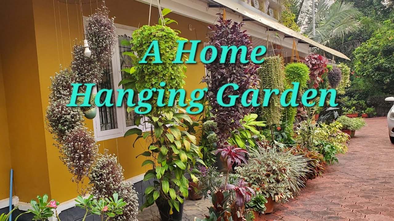 Hanging Garden | Chemperi | Kerala | India - YouTube