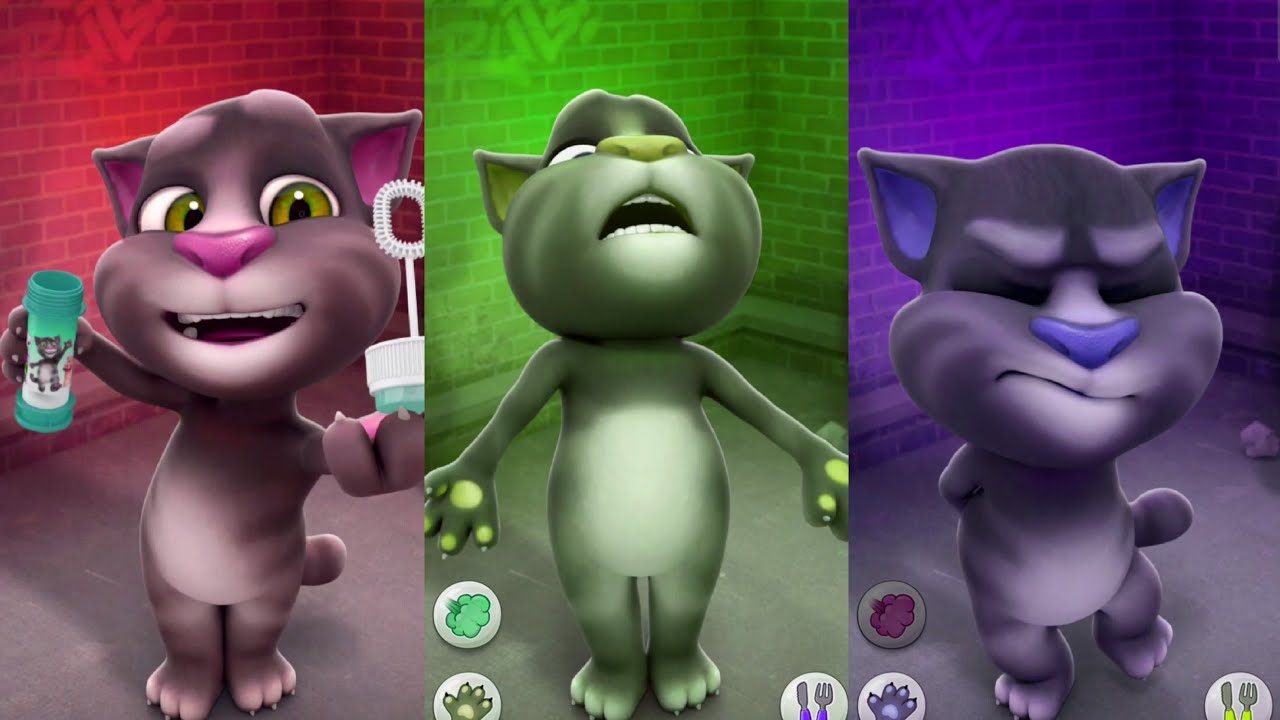 talking tom cat - YouTube