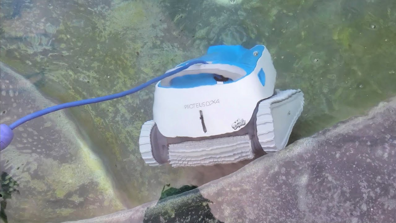 Maytronics Dolphin Proteus DX4 Pool Robot Climbing Stairs, Cleaning ...