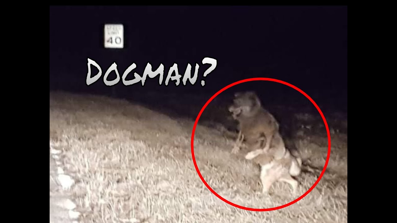 The Beast of Bray Road | January of 2018 | Evidence Unbound Episode 1 ...