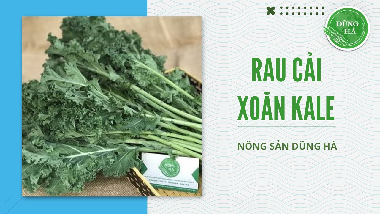 "Rau cải xoăn Kale Đà Lạt - Sự lựa chọn hoàn hảo cho sức khỏe và dinh ...