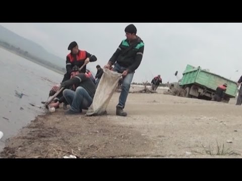 Ermenilerin ekoloji terroru davam edir