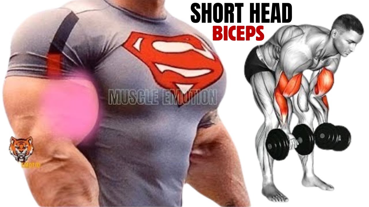 12 BEST BICEPS WORKOUT ( SHORT HEAD ) TO GET WIDER BIGGER ARMS FAST ...