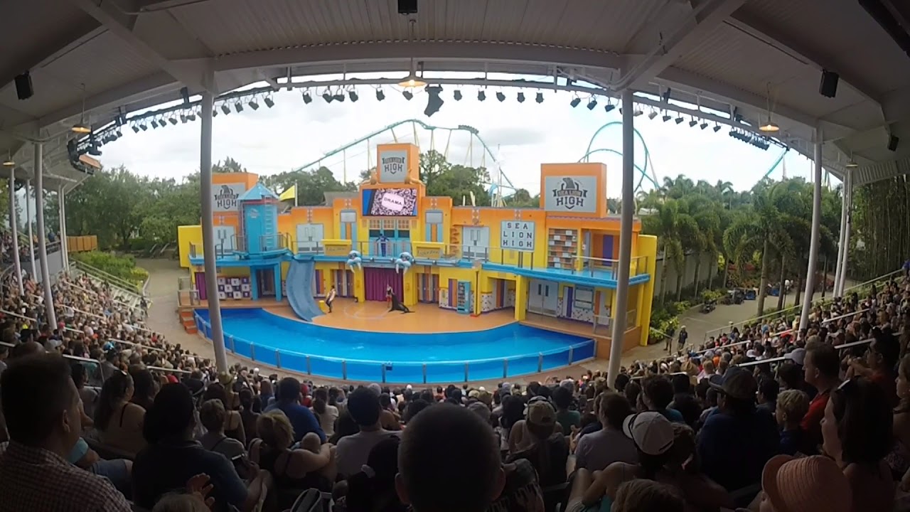 Clyde and Seamore's Sea Lion High - SeaWorld Orlando - YouTube