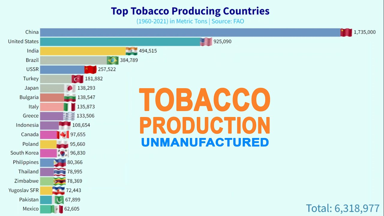 Tobacco Production By Country | 1960-2021 - YouTube