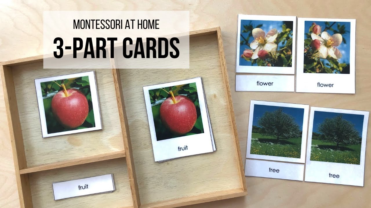 MONTESSORI AT HOME: 8 Ways to Use Three-Part Cards! - YouTube