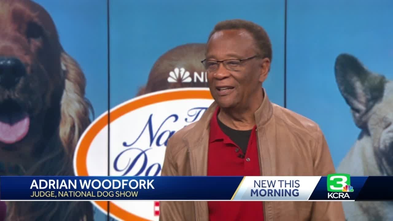 Former KCRA 3 reporter Adrian Woodfork is a judge for National Dog Show ...