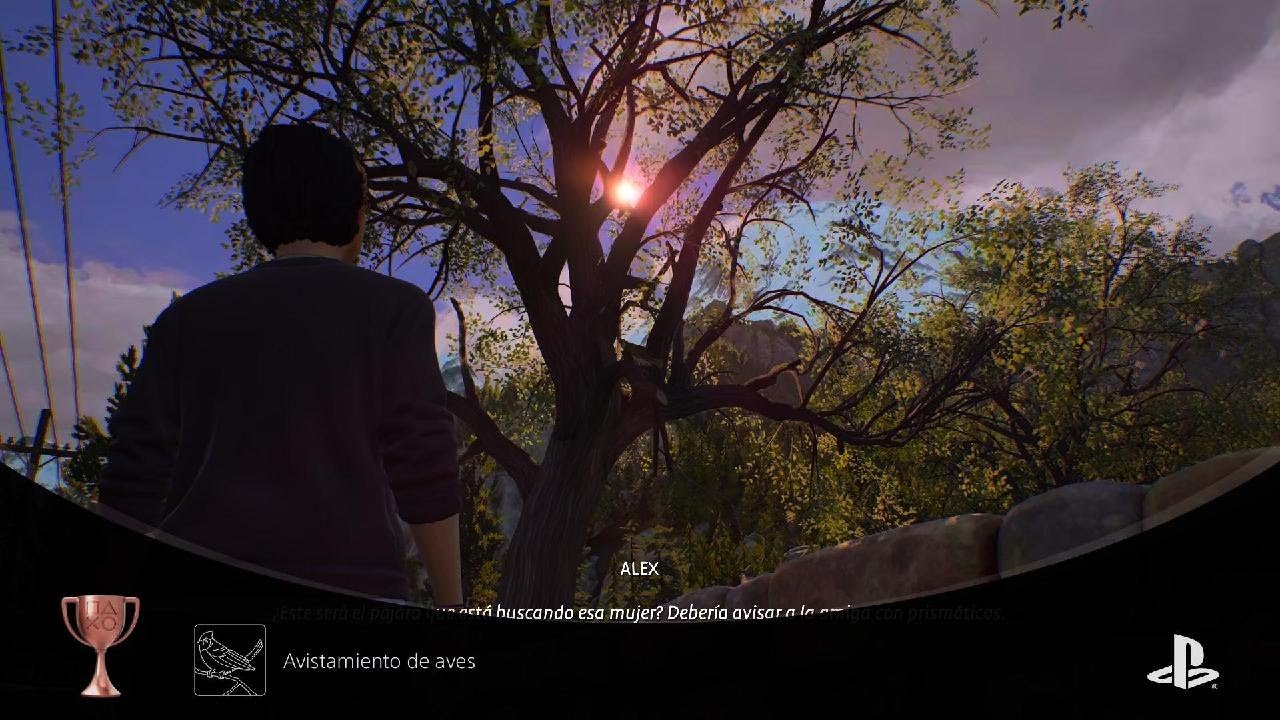 Life is Strange: True Colors // Avistamiento de aves - YouTube