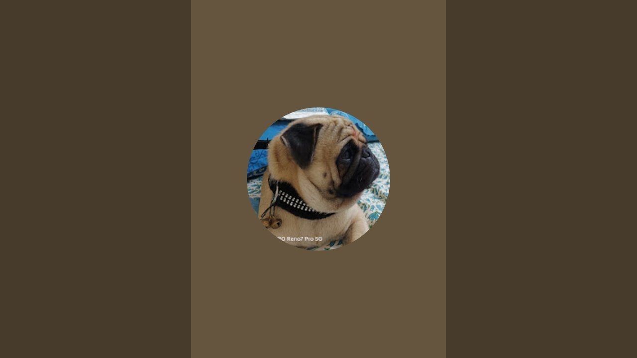 BB CHANNEL is live - YouTube