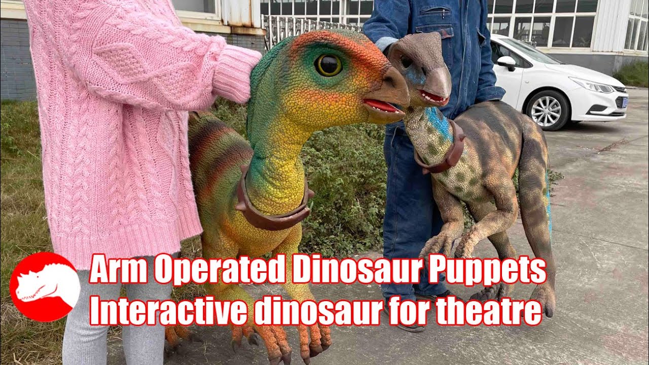 Theatre Dinosaur Puppet - Arm Operated Leaellynasaura Props - YouTube