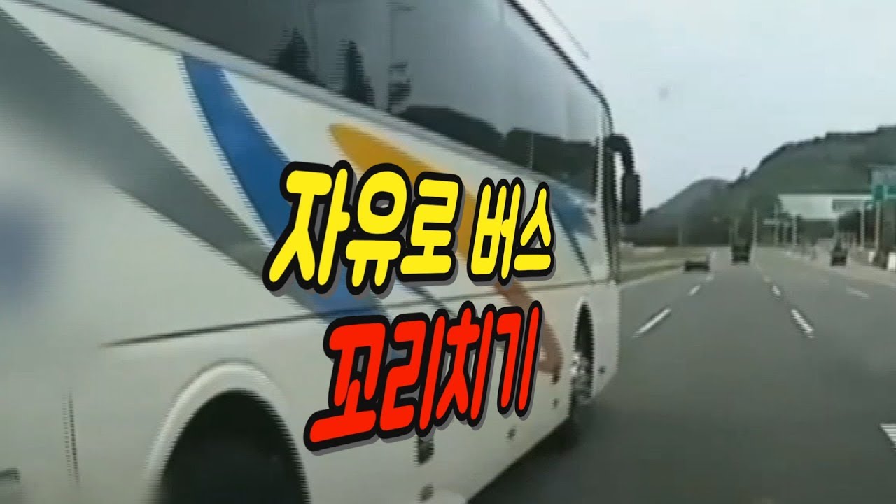 1586회 자유로 2차로 달리는데 1차로를 달리던 버스가 깜빡이도 안 켜고 2차로로 들어오더니 악어 꼬리치기로 때렸어요 제게